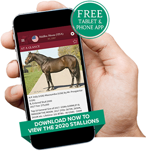 Global Stallions App