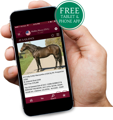 Global Stallions App