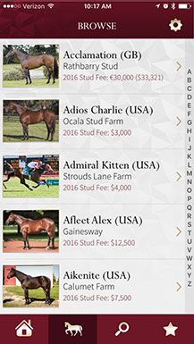 Global Stallions App