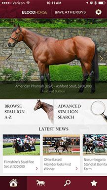 Global Stallions App