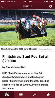 Global Stallions App