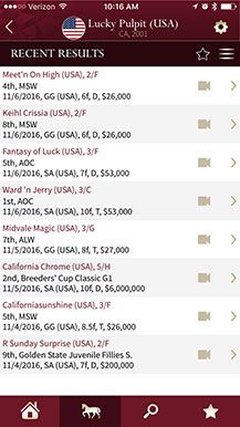 Global Stallions App