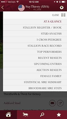 Global Stallions App